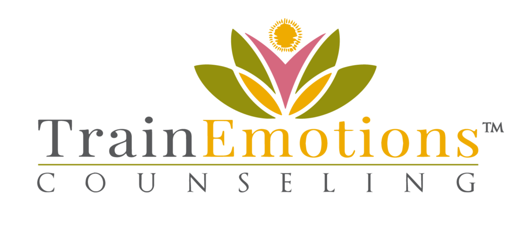 About – Train Emotions